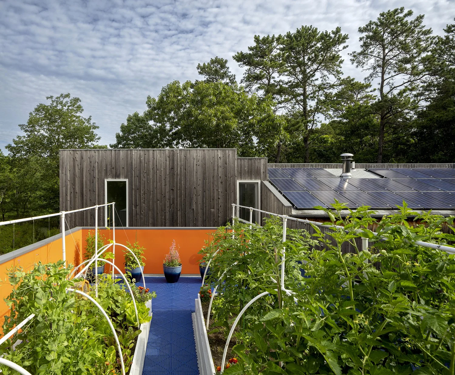 Sheridan Green Residence — christopher jeffrey architects pllc