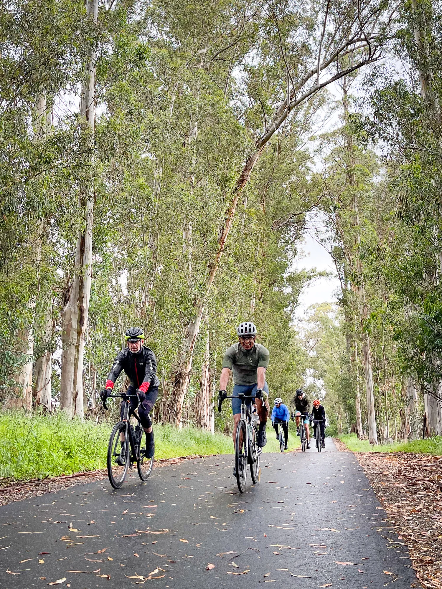 Grassi Traditions: Annual Spring Classic — Grassi & Associates