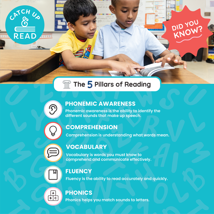 What are the 5 Pillars of Reading? — Catch Up & Read