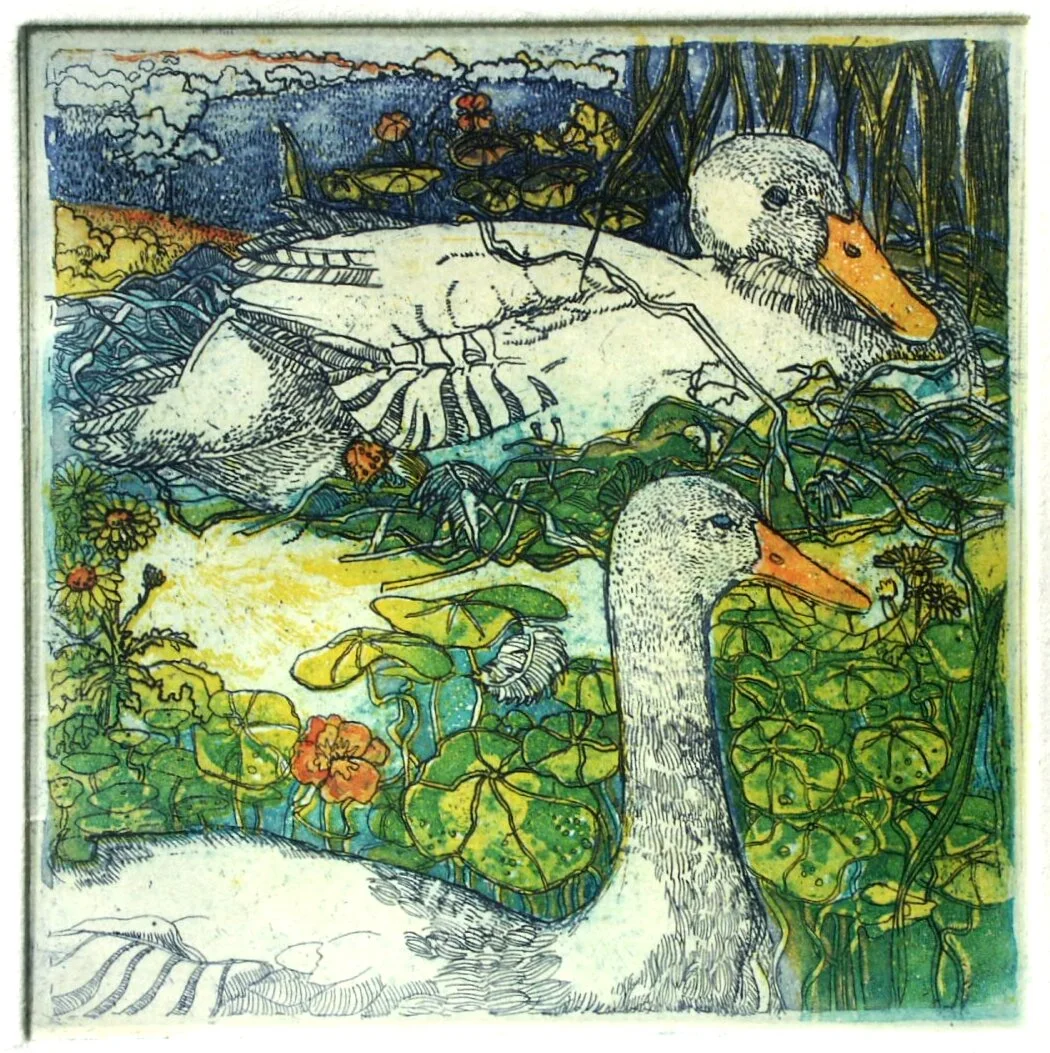 Indian Runners — Janet Ayliffe Printmaker and Painter