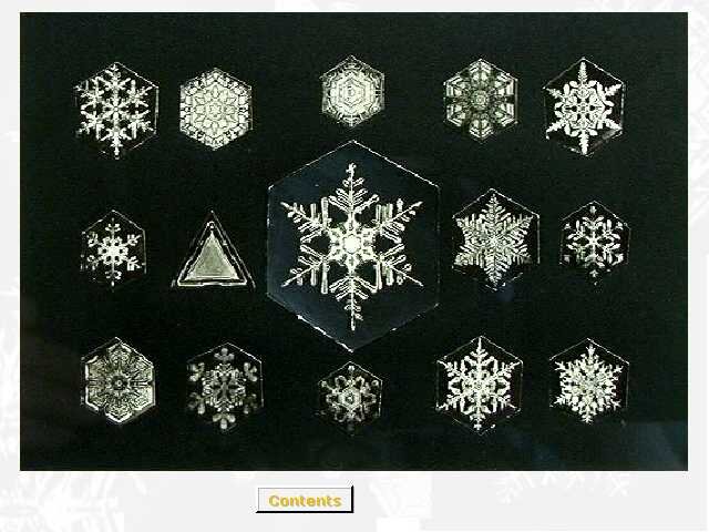 Contact 1 — Snowflake Bentley