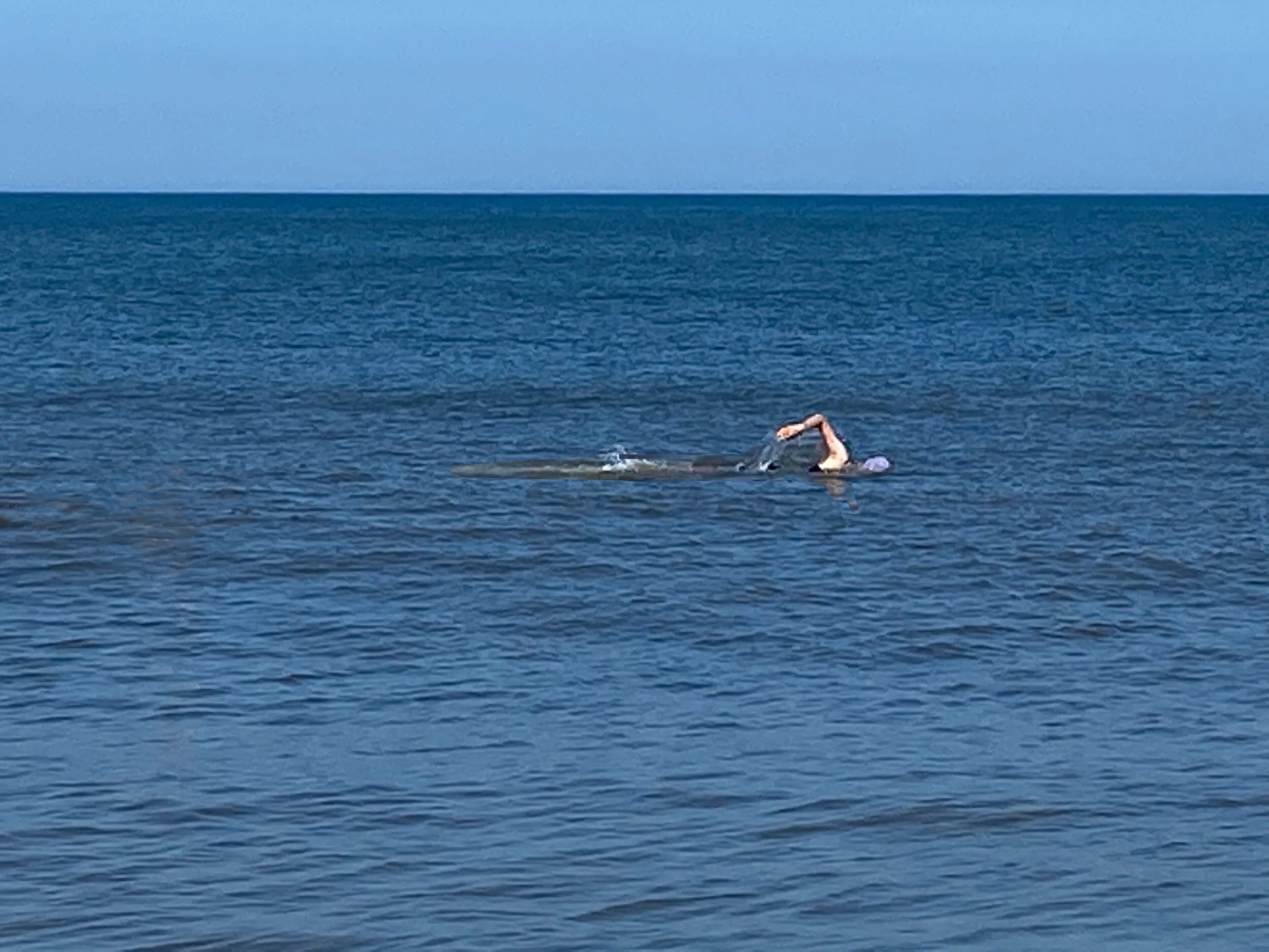 Mariah Burton Nelson: Athlete, Author, Artist