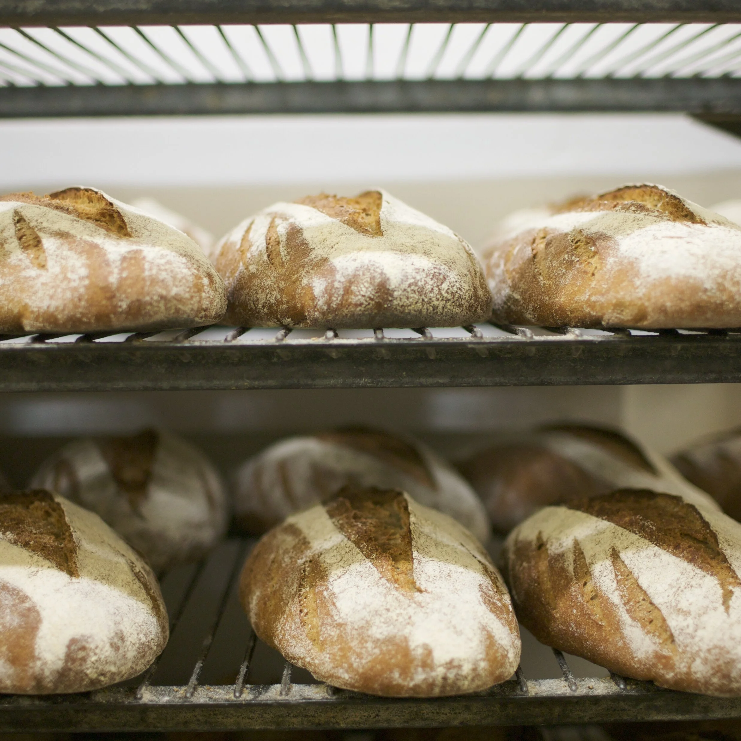 VILLAGE BAKERY - Award Winning Santa Rosa Bakery