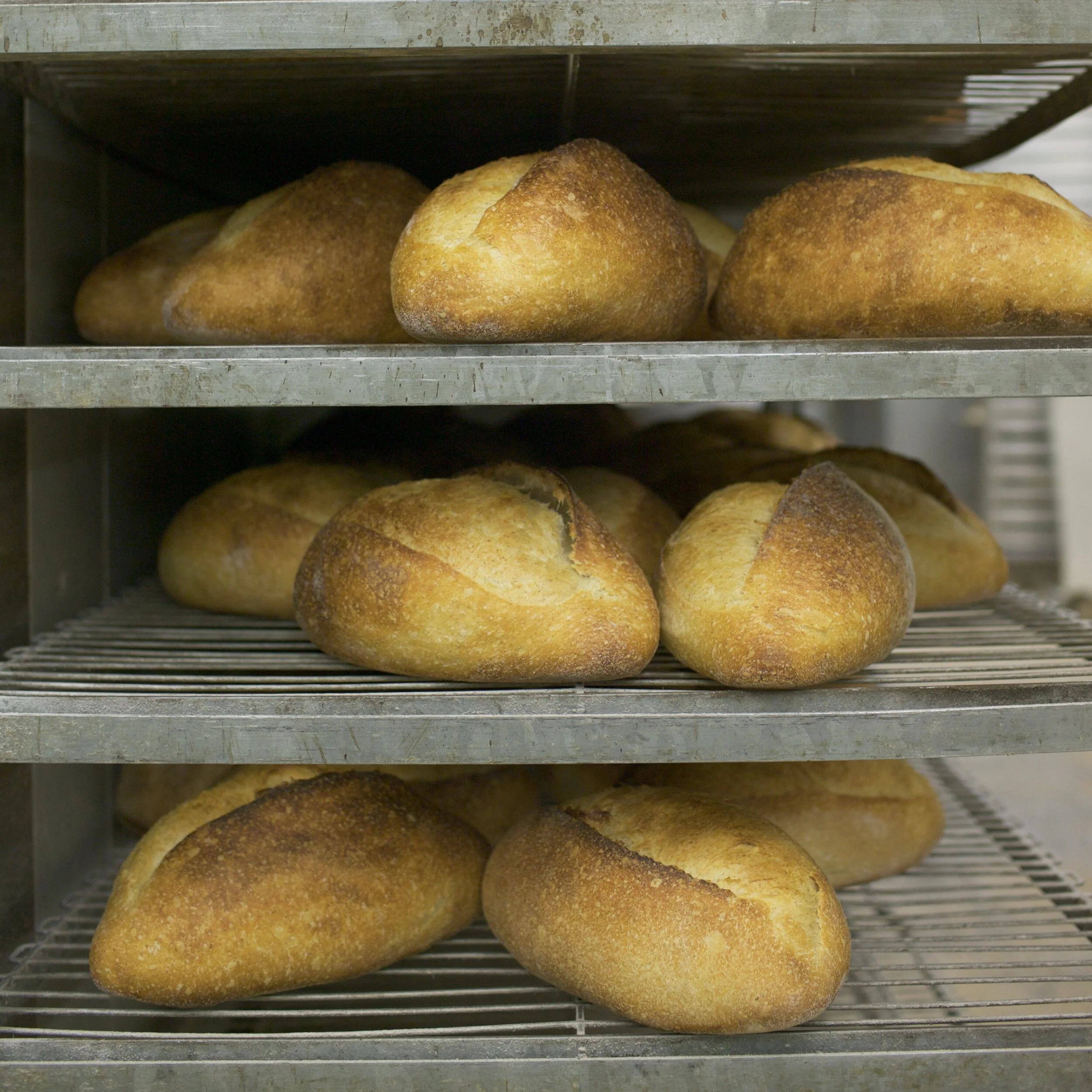 VILLAGE BAKERY - Award Winning Santa Rosa Bakery