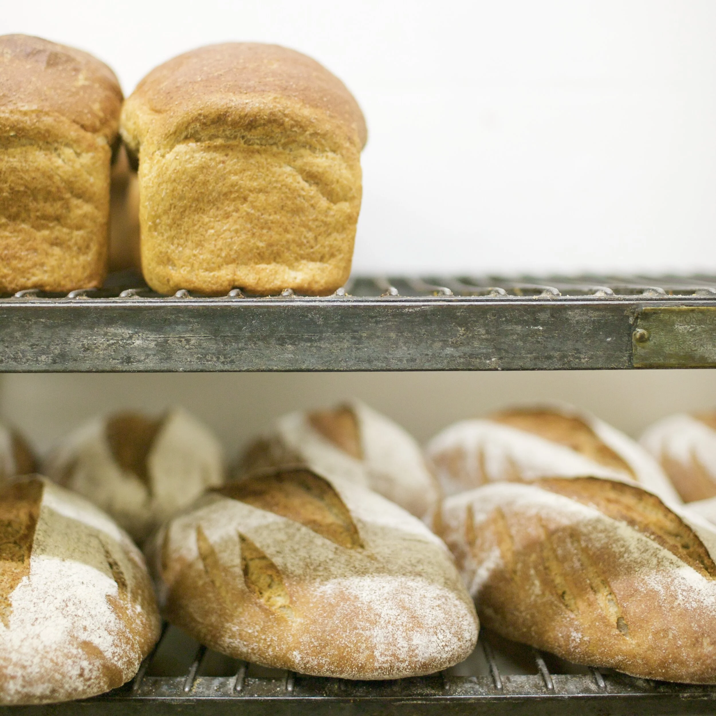 VILLAGE BAKERY - Award Winning Santa Rosa Bakery