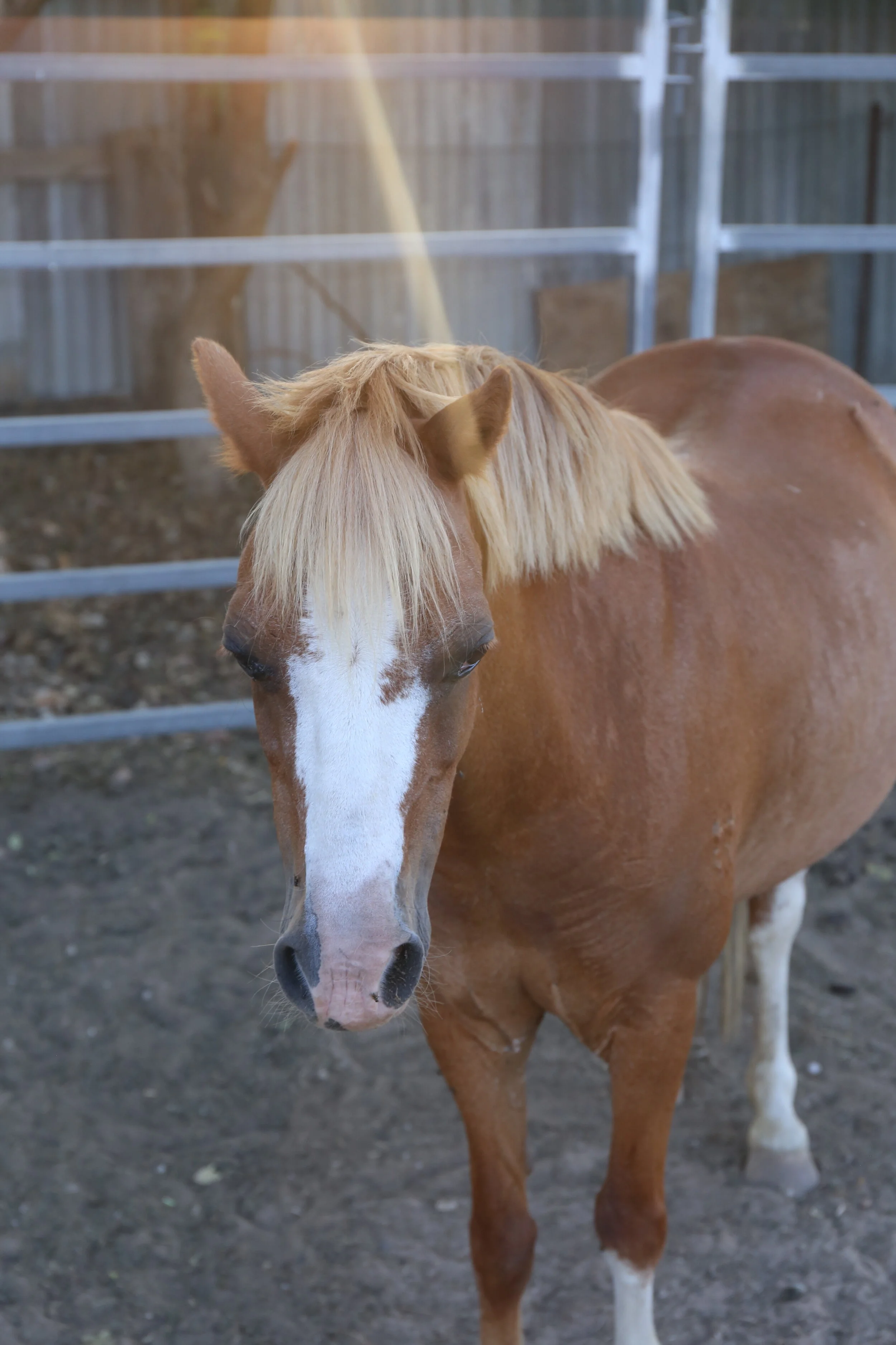 Best Accommodation & Family friendly dining option in Toobeah Talwood ...