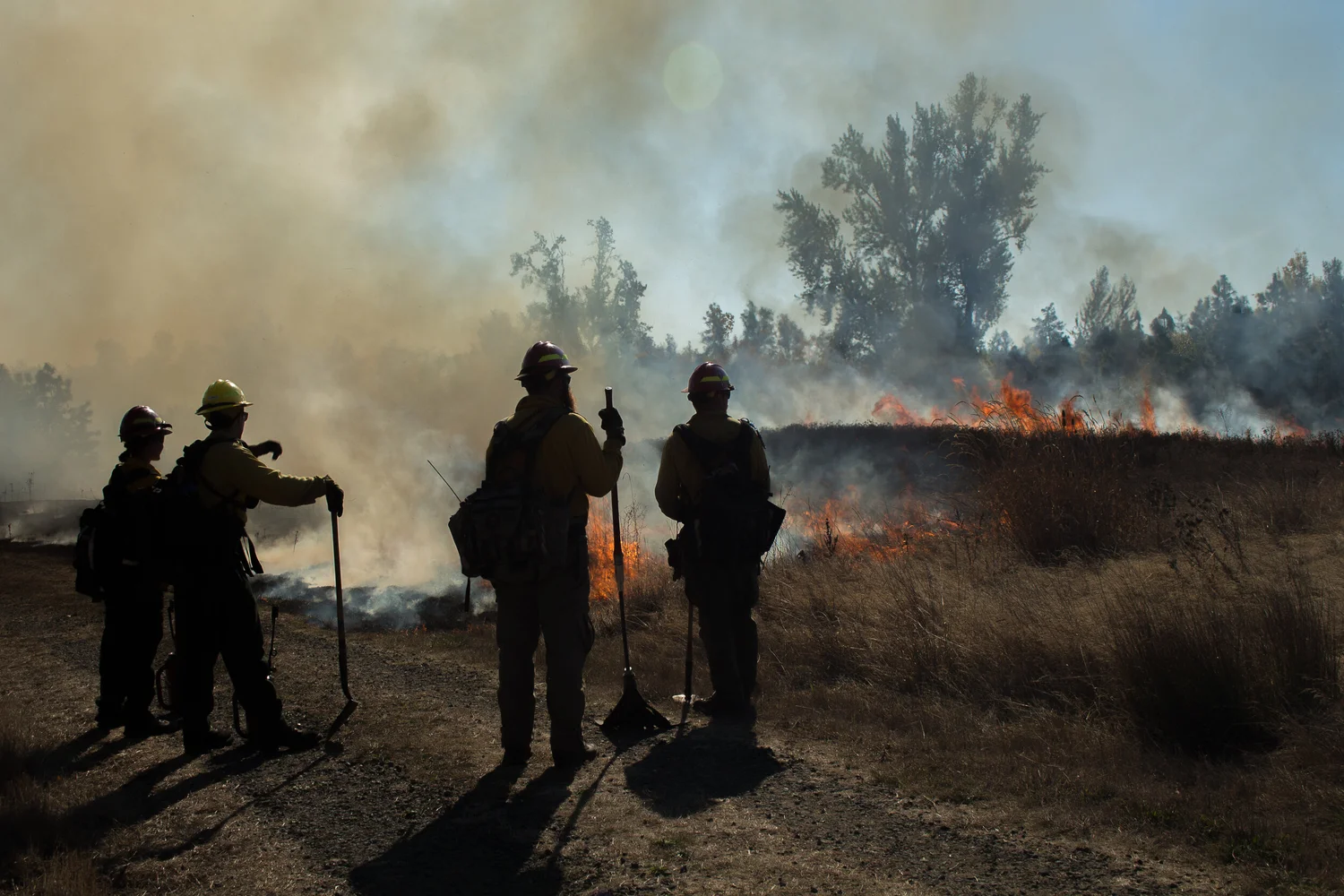 Ecological Fire Management — Firefighters United for Safety, Ethics ...