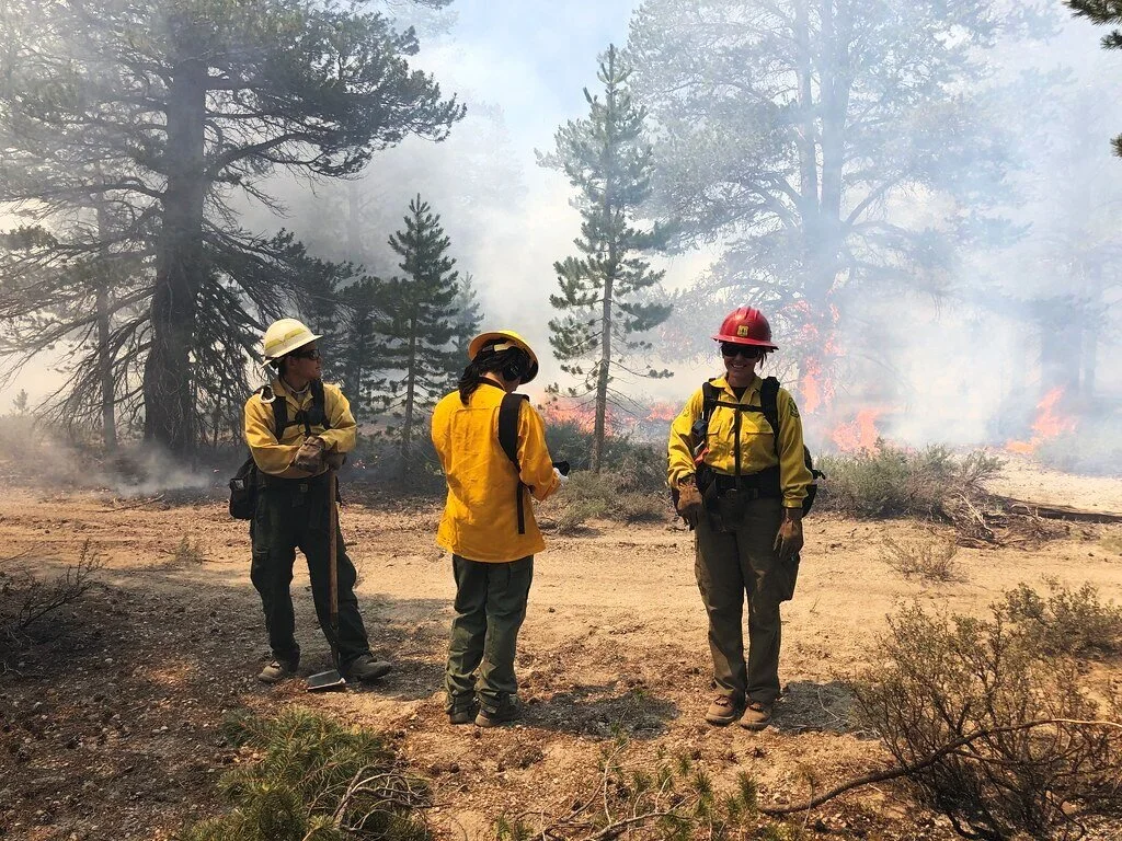 Mission and Philosophy — Firefighters United for Safety, Ethics, and ...