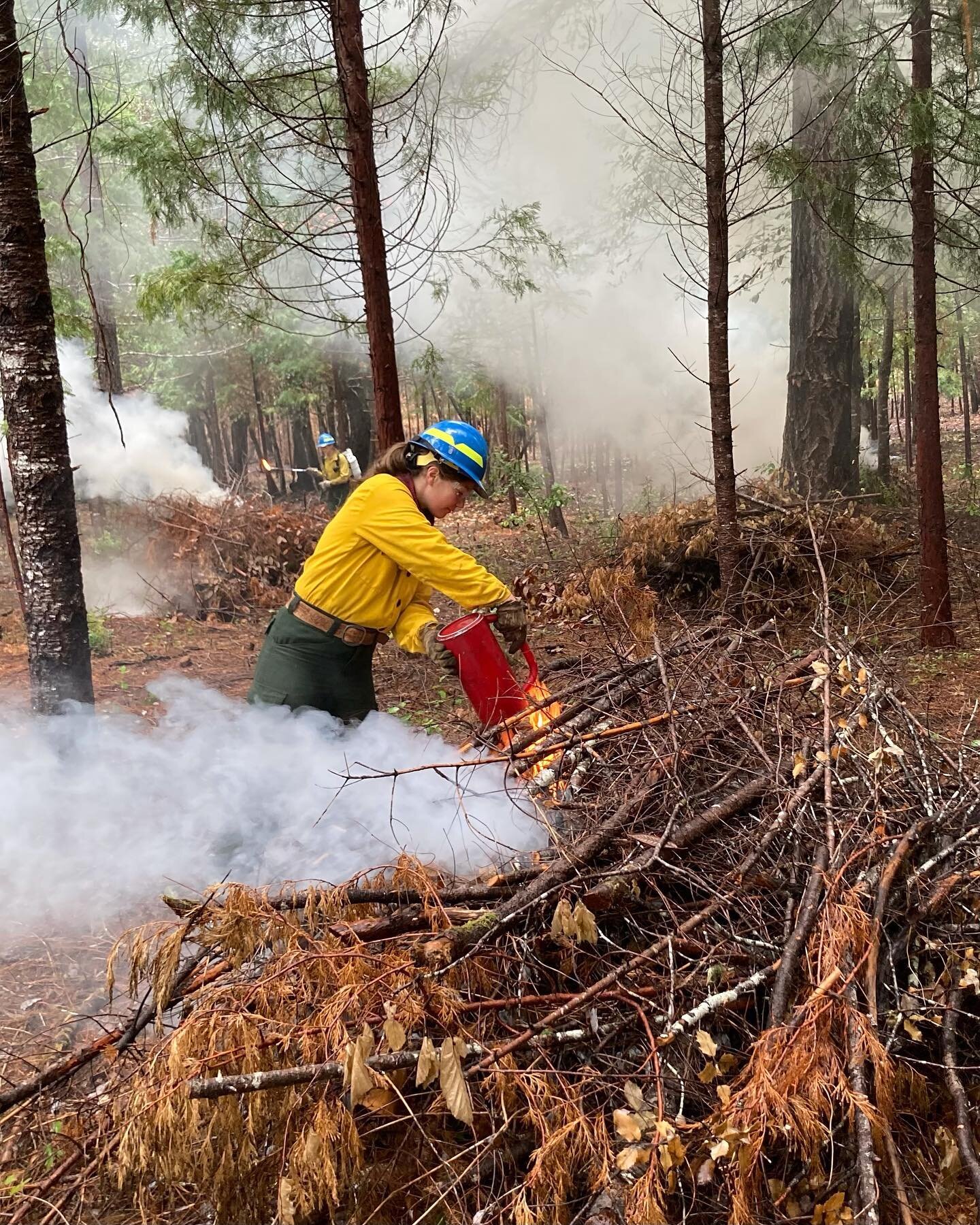 Firefighters United for Safety, Ethics, and Ecology