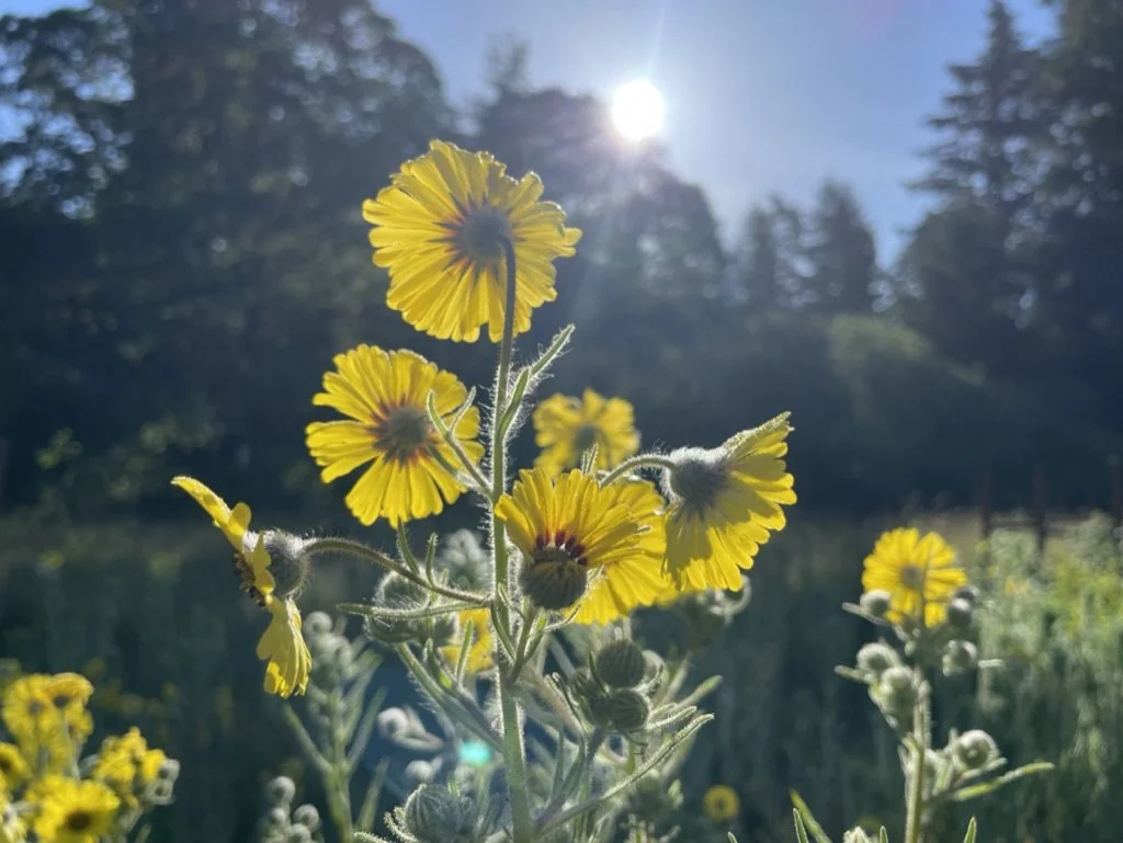Lisa Moeller — Firefighters United for Safety, Ethics, and Ecology