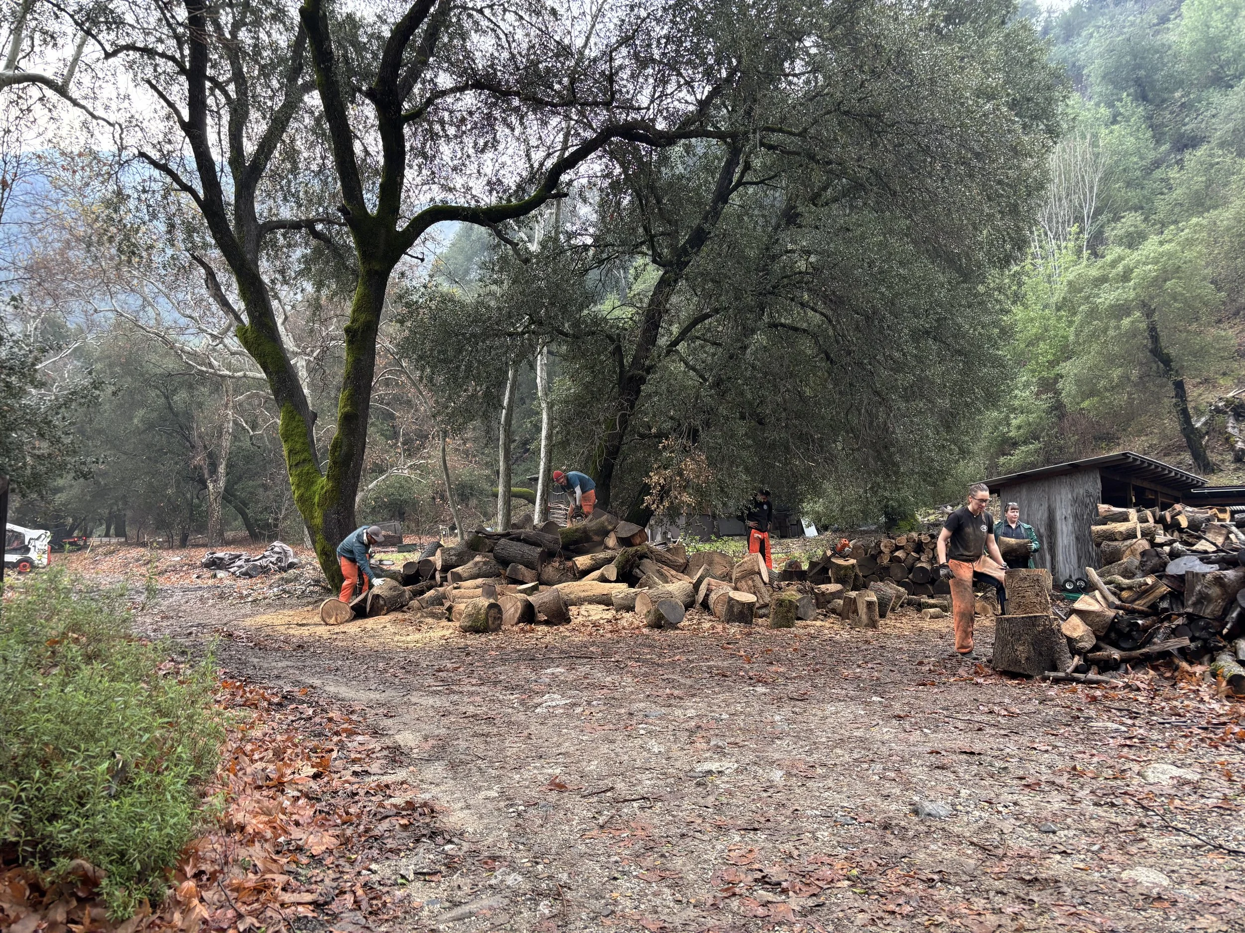 Ringing in the New Year at FUSEE's firefighter mindfulness retreat at ...