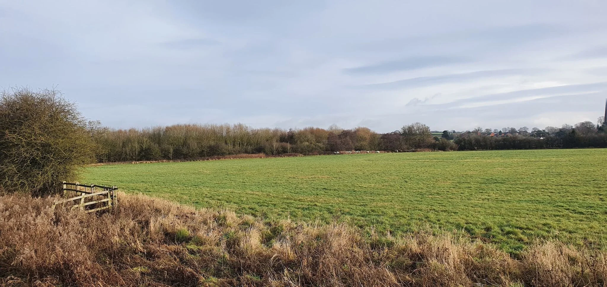 Stop the A38 Derby Junctions Road Expansion