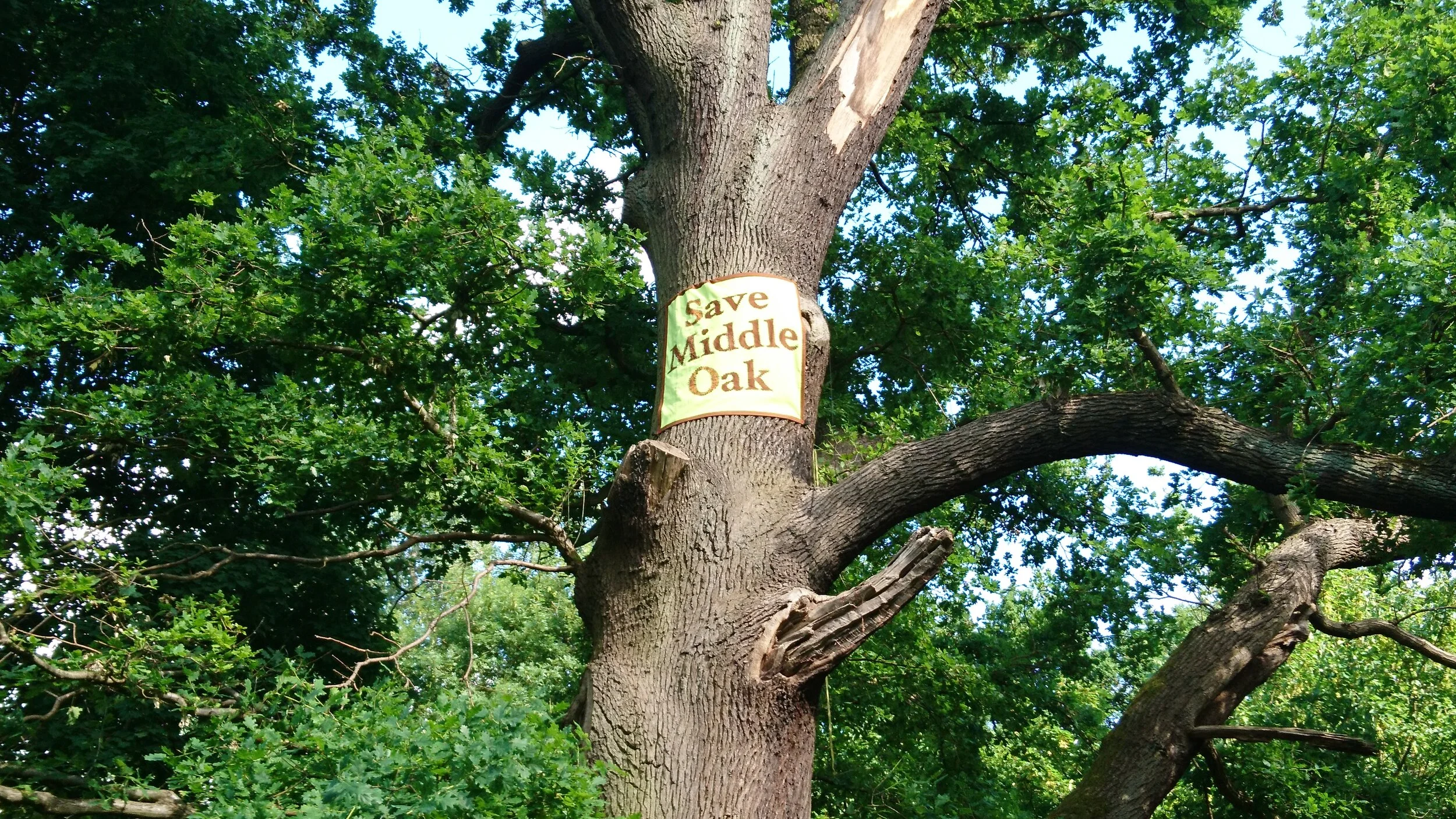 Stop the A38 Derby Junctions Road Expansion