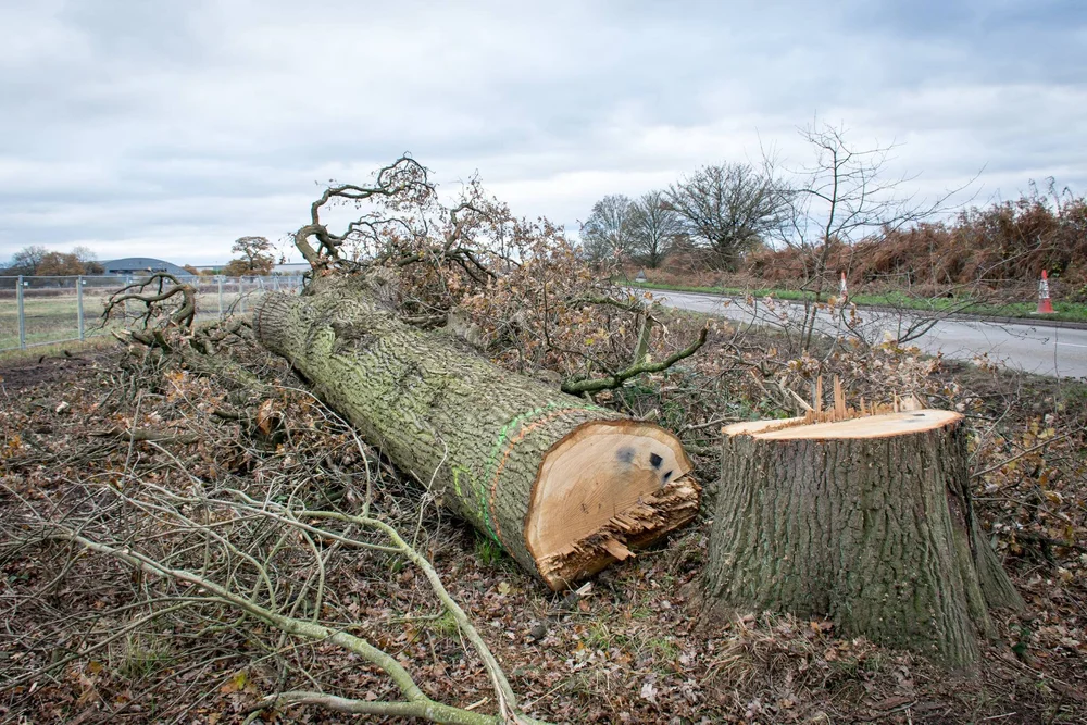 Why cancel the A38 Derby Junctions road expansion scheme? — Stop the ...
