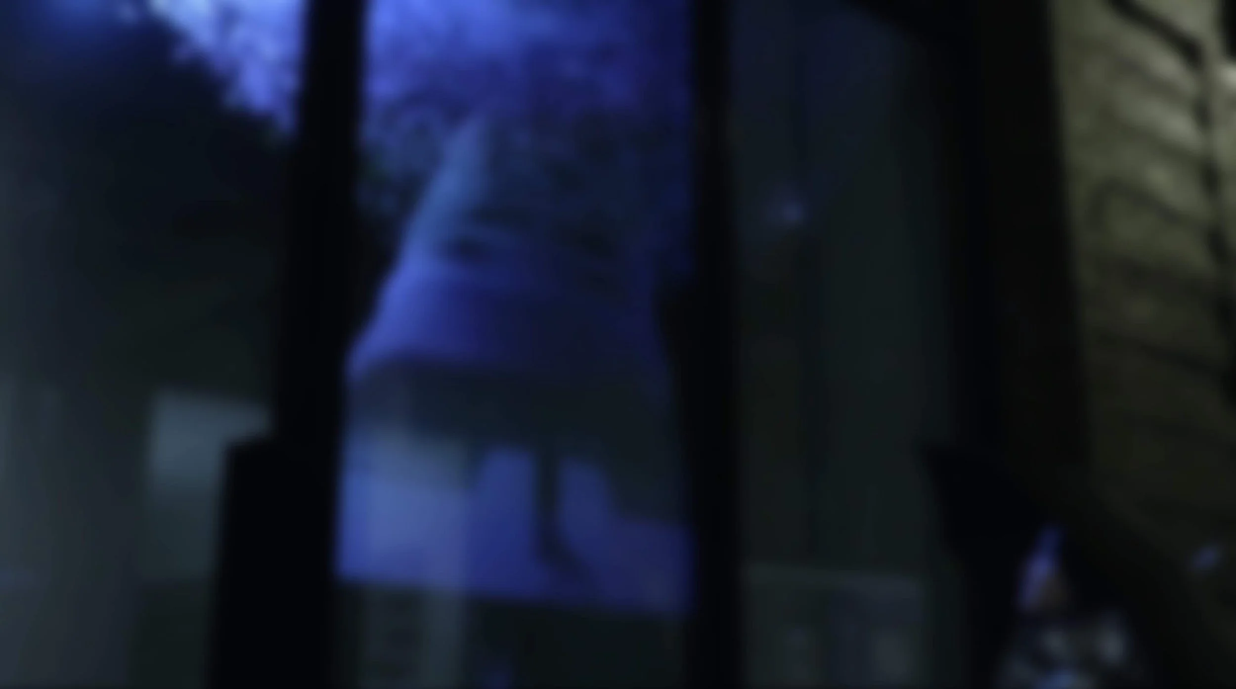 The Amityville Horror 1979 Jodie