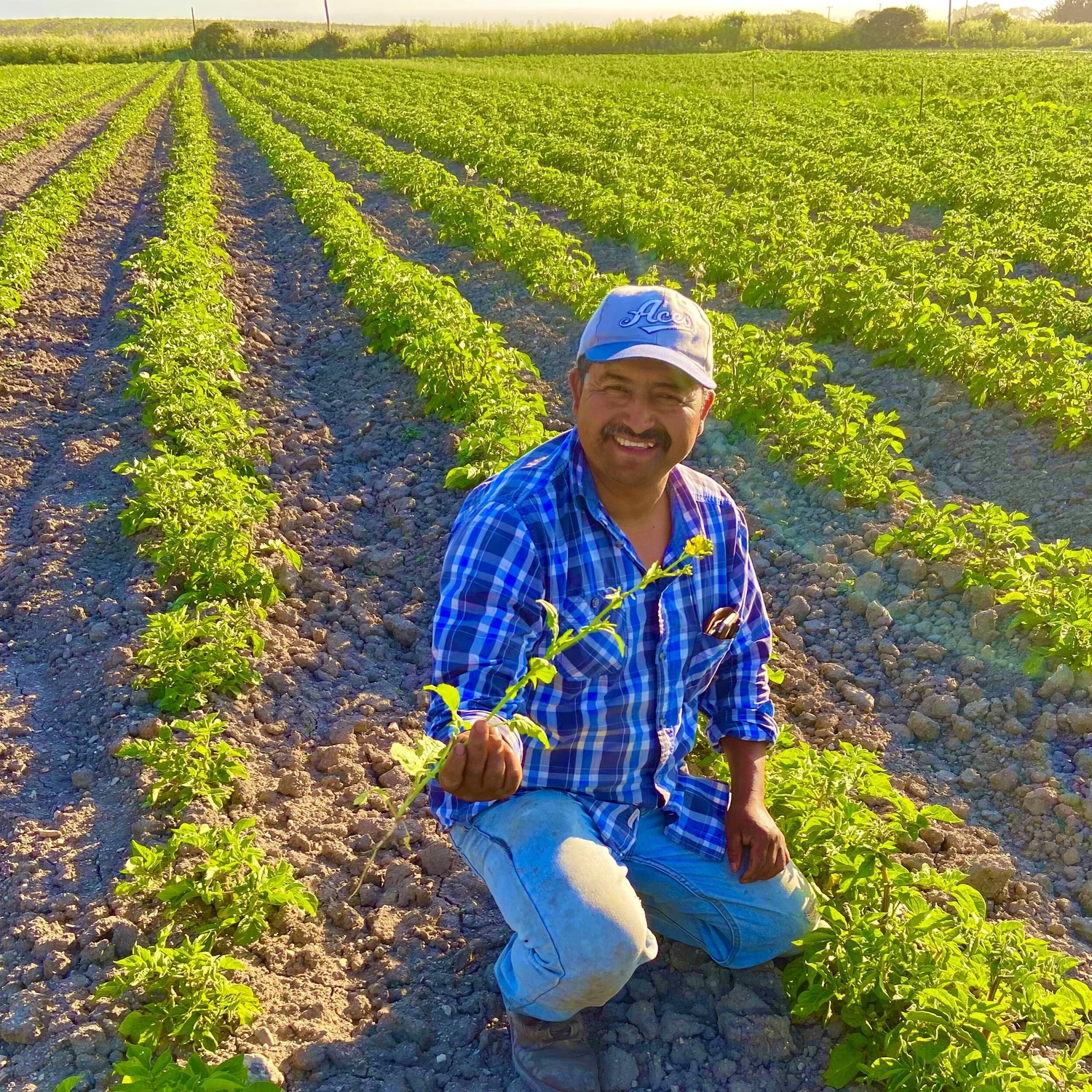 About the Farmers — Brisa Ranch