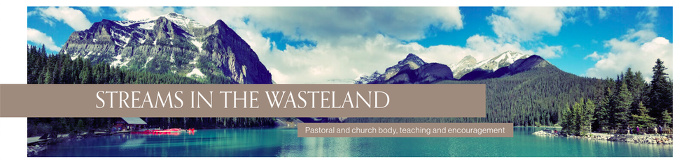 Streams in the Wasteland