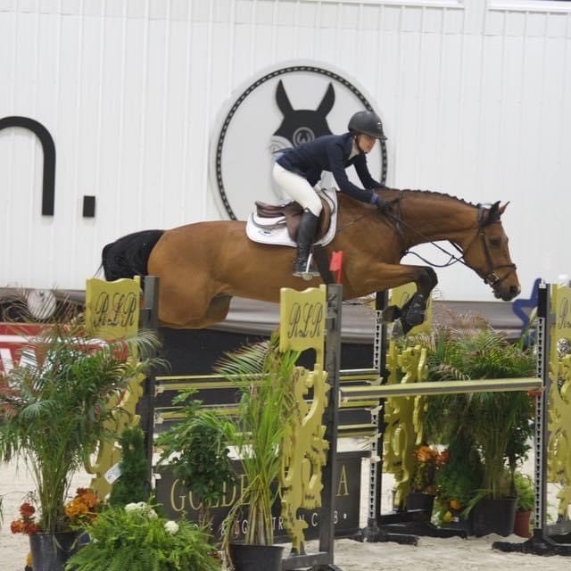 TRAINERS — Grosse Pointe Equestrian