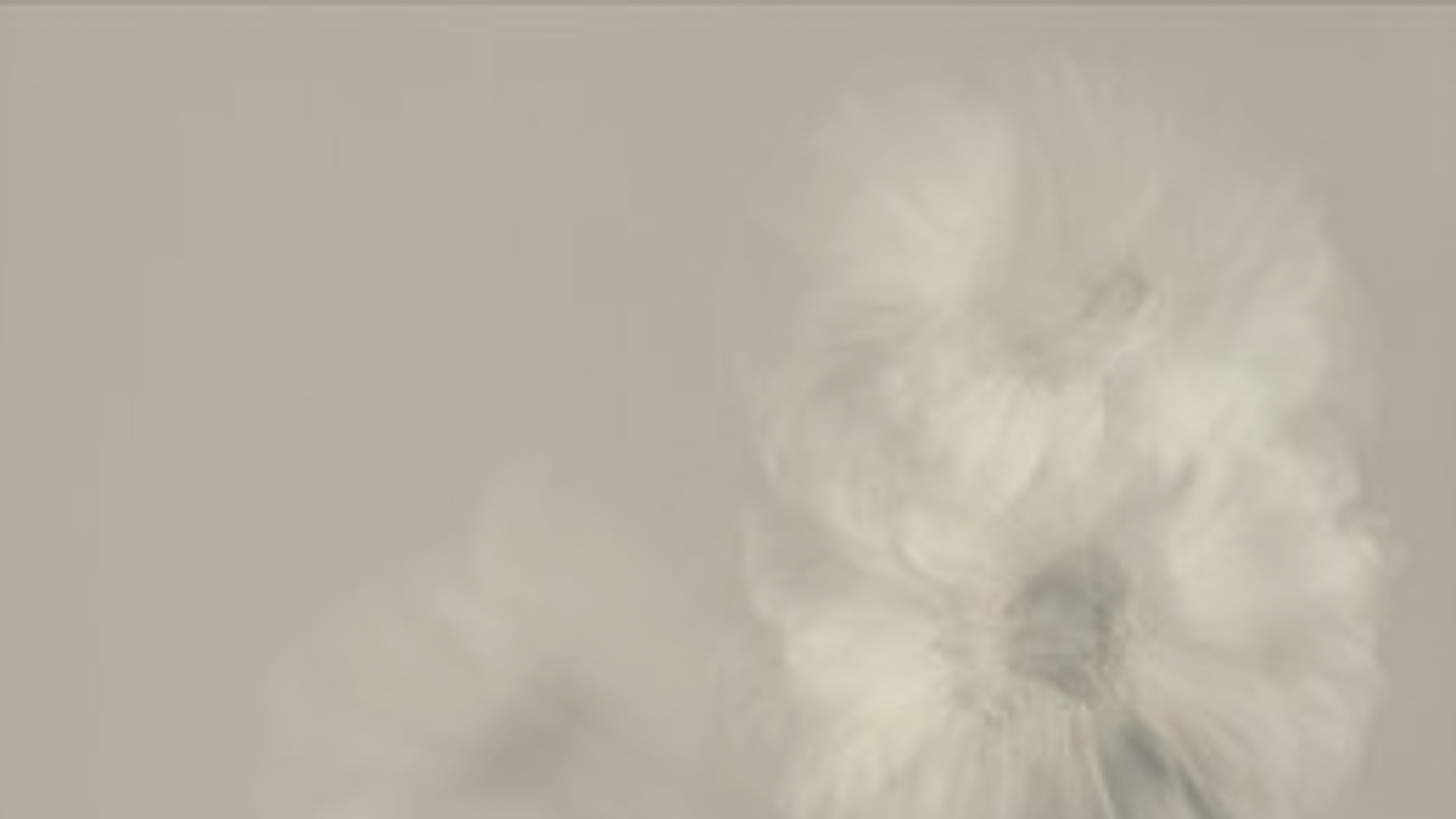 Bio-Resonance Testing — Natalie Parlett