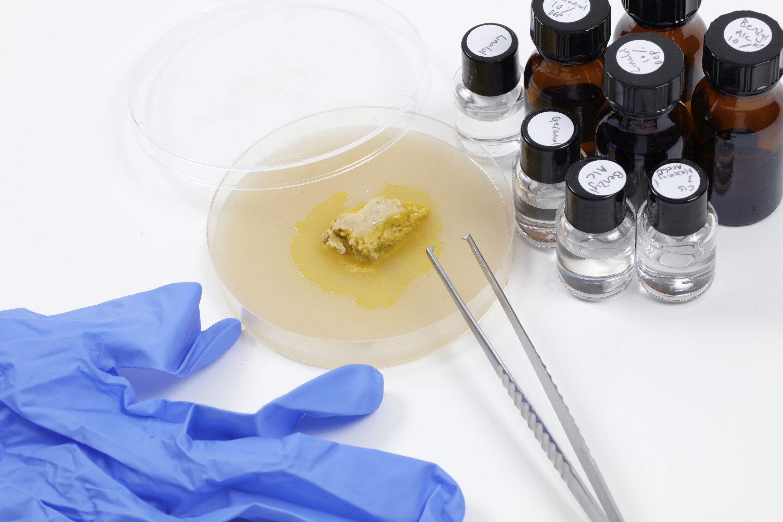 Bioscent — PIERO D'ANGELO