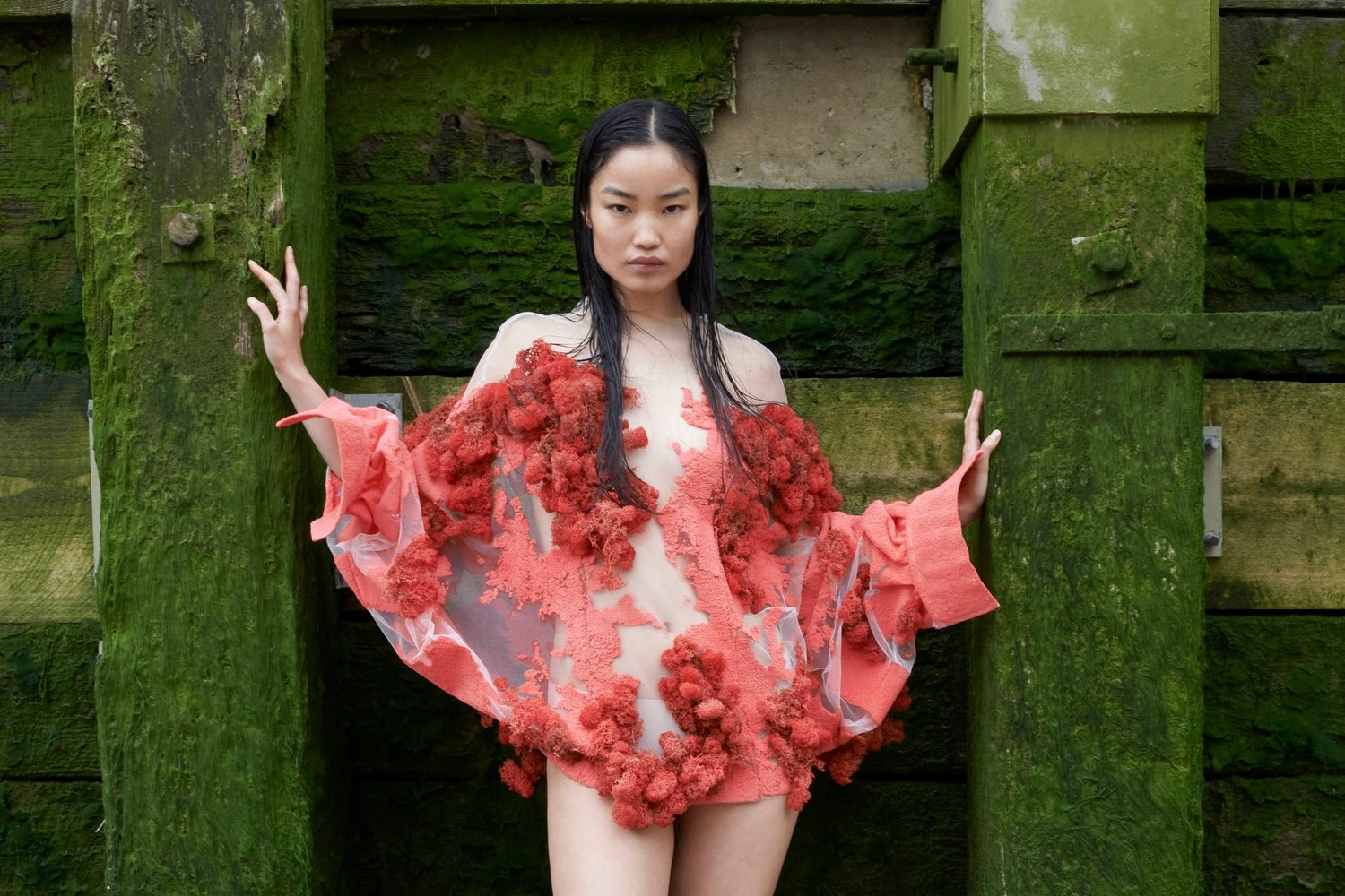 Grow Your Own Couture - The Collection — PIERO D'ANGELO
