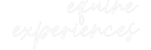 Retreats Near Toronto | 1-2 hours or 1-2 days | meditating with horses ...