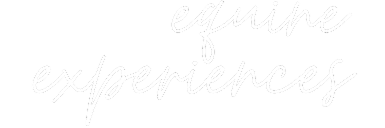 Retreats Near Toronto | 1-2 hours or 1-2 days | meditating with horses ...