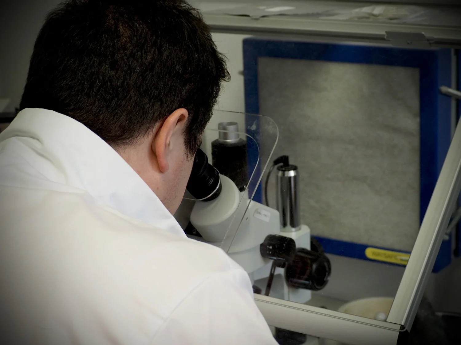 Asbestos Bulk Analysis | Ensure Safe Environments – Get Tested ...