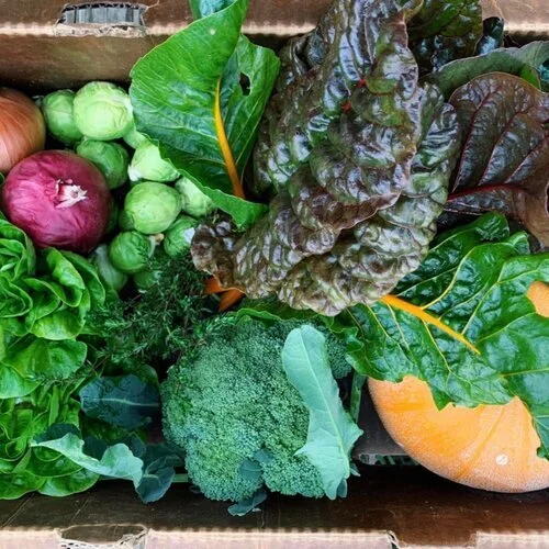 Farm Directory — Mendocino County Local Food Guide