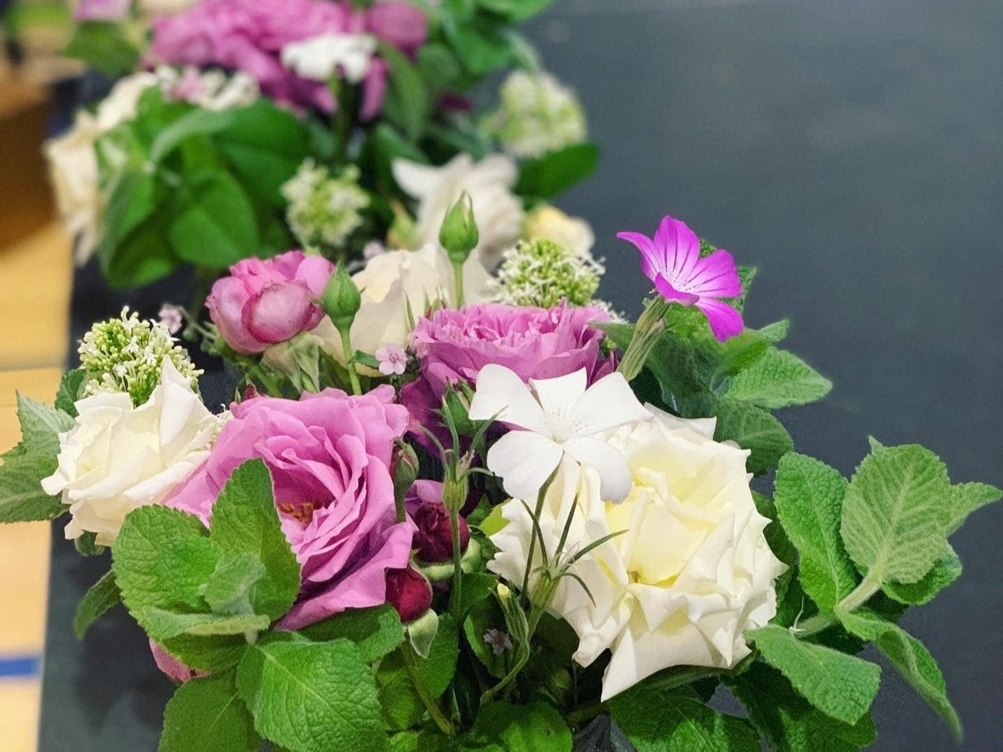Solfina Flower Farm — Mendocino County Local Food Guide