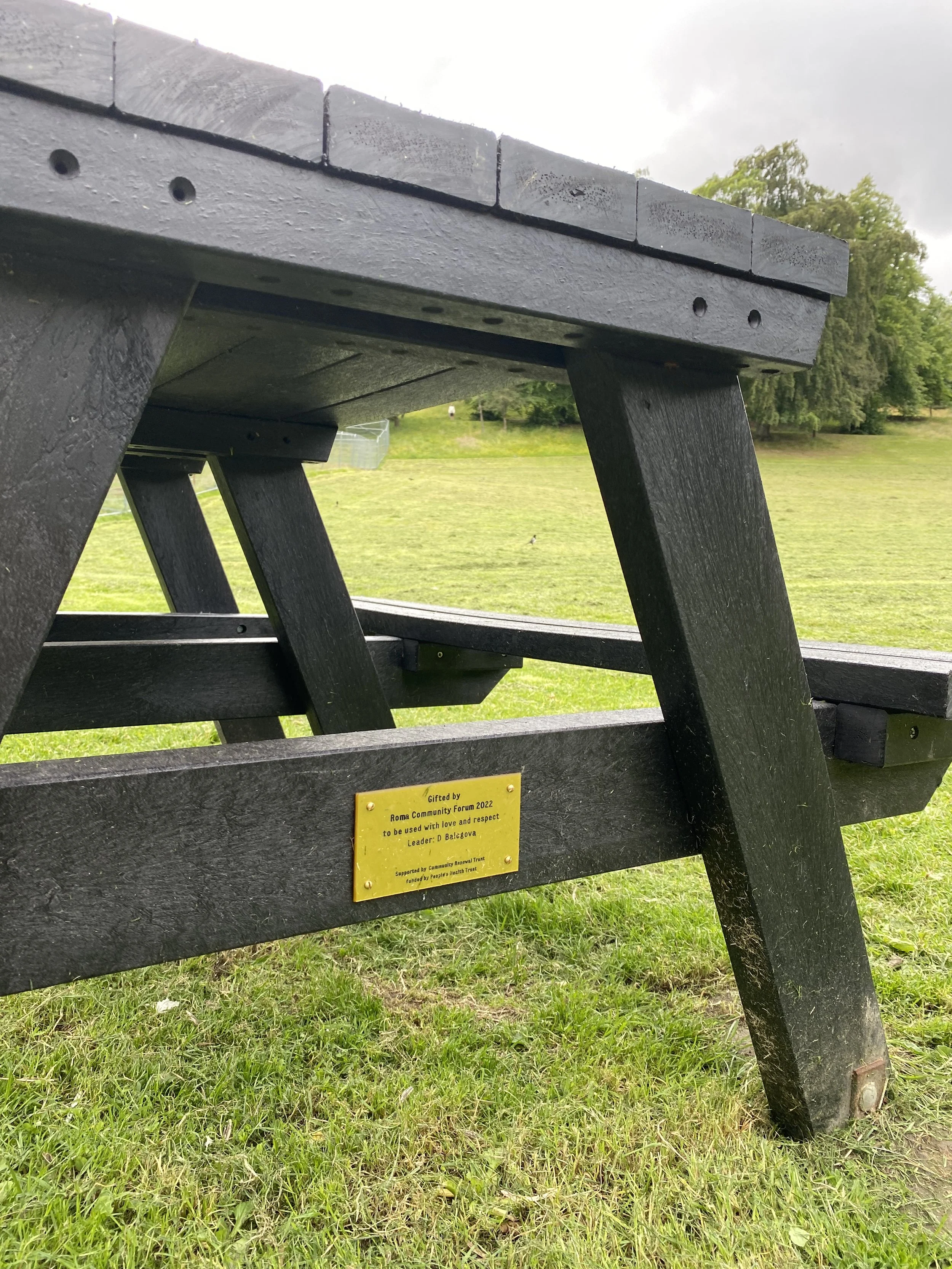 New picnic benches in Queen's Park built by Rom Romeha — Greater Govanhill