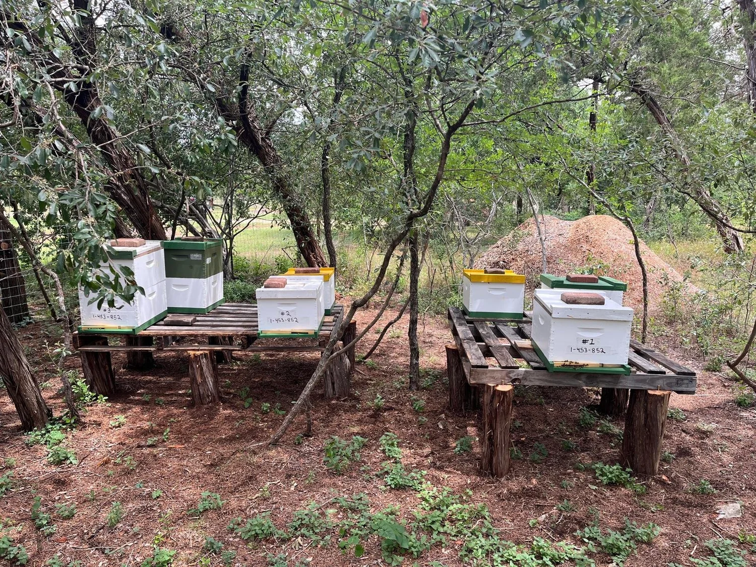 How to Build a Solid Base for Your Bee Colonies: DIY Hive Stand Options ...