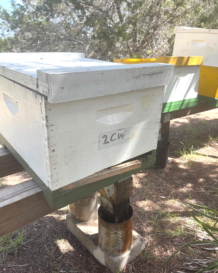 How to Build a Solid Base for Your Bee Colonies: DIY Hive Stand Options ...