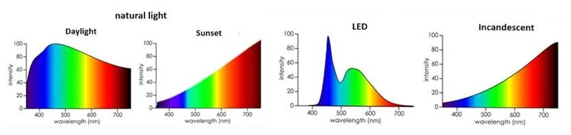 Blue Light Blocking Glasses: The Definitive Guide - Live Vitae