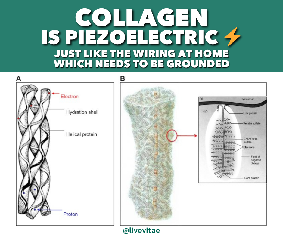 Grounding Benefits: How Can It Improve Your Health? - Live Vitae