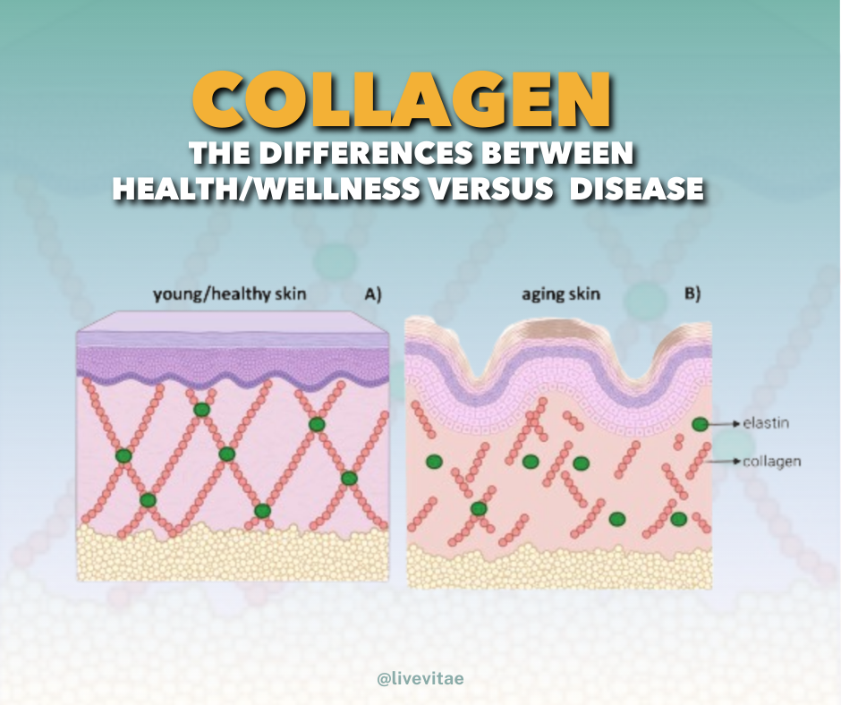How to Boost Collagen Naturally - Live Vitae