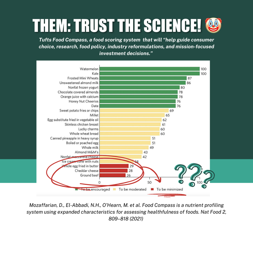 Health Benefits of Compound Foods - Live Vitae