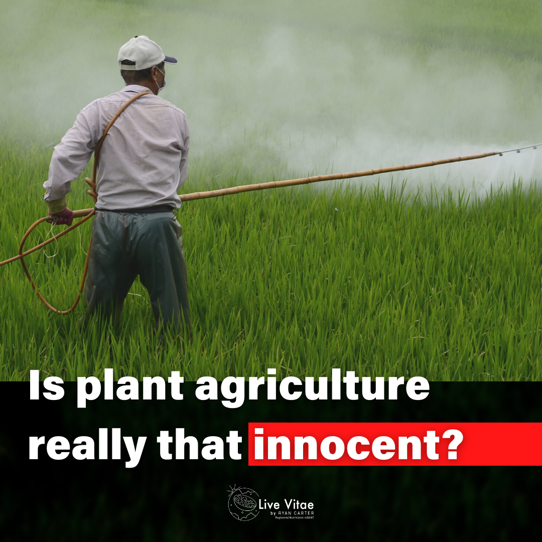 Is Plant Agriculture Really That Innocent? - Live Vitae