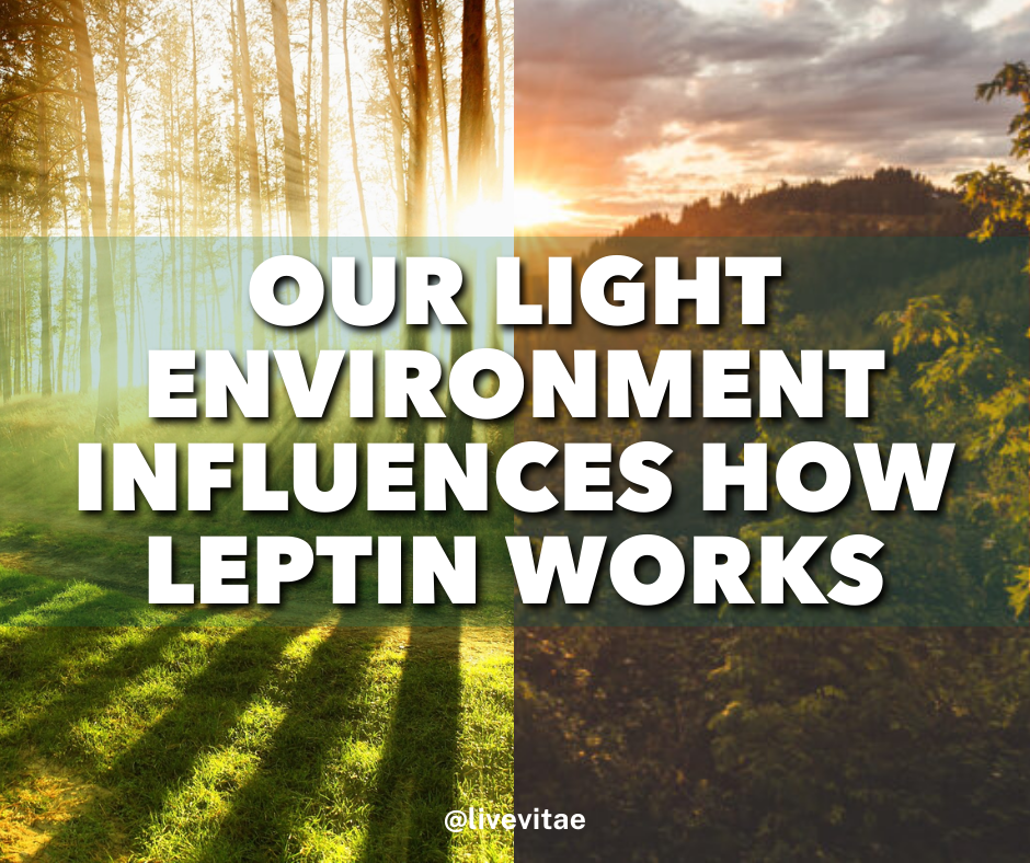 How Artificial Light Makes Us Fat - Live Vitae