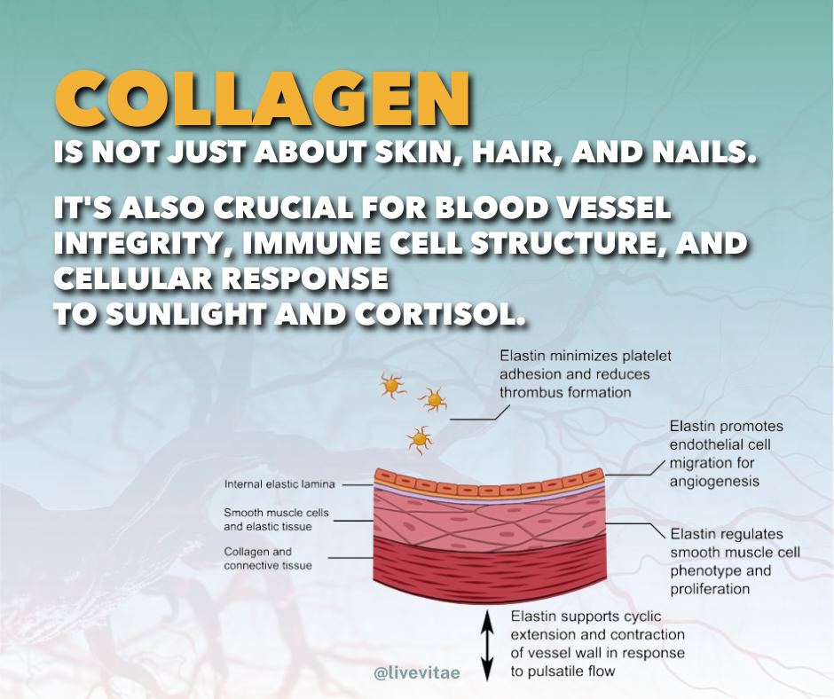 How to Boost Collagen Naturally - Live Vitae