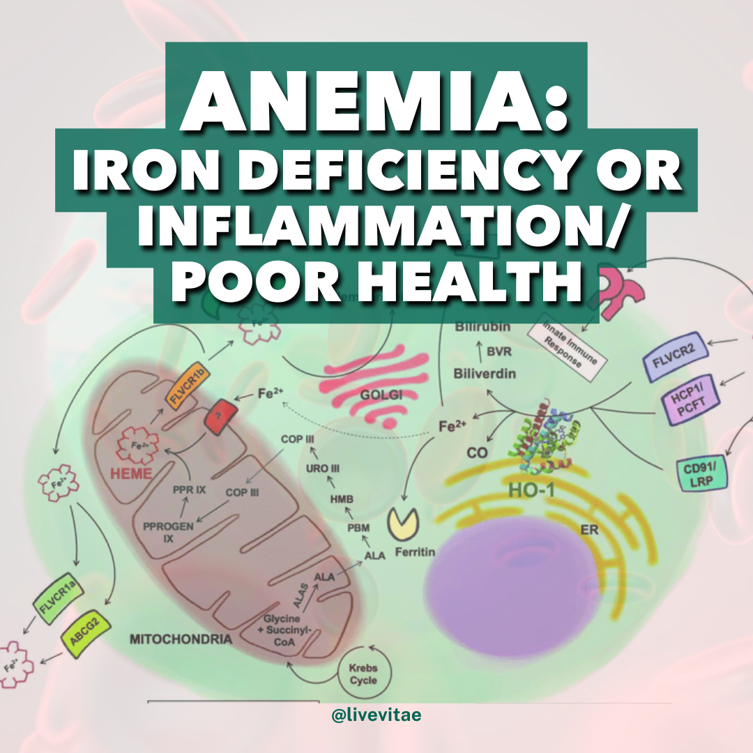 Anemia: Iron deficiency or just inflammation? - Live Vitae