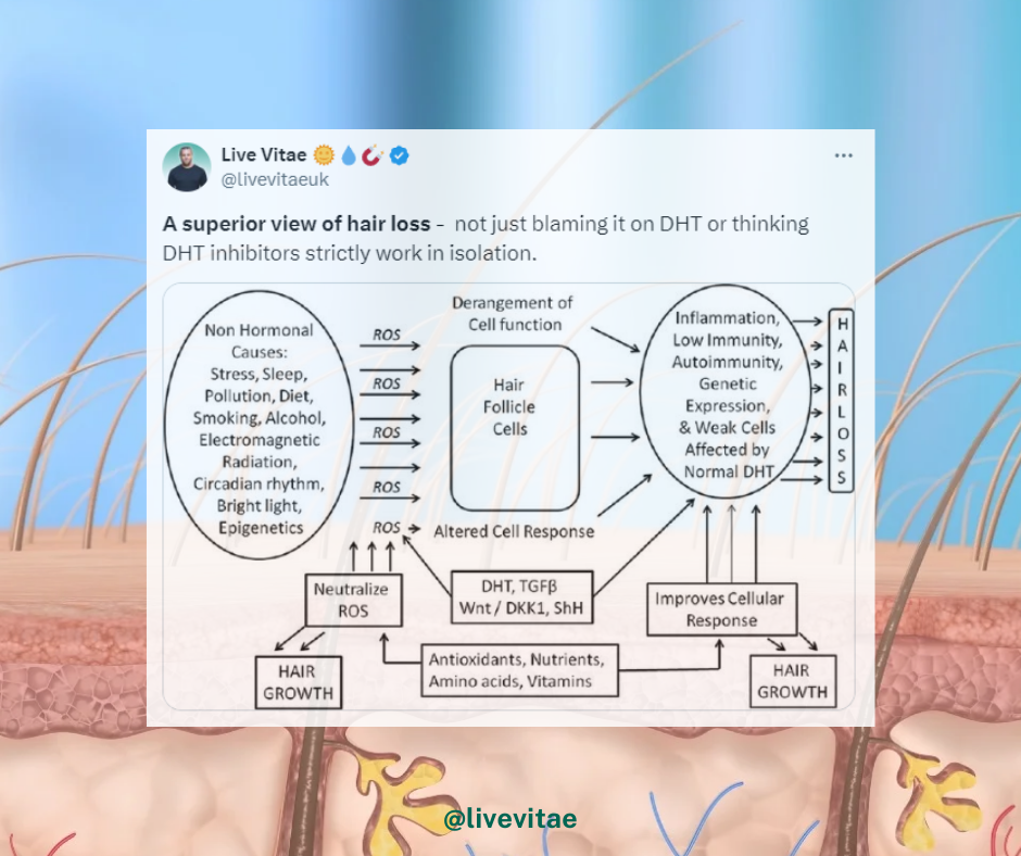 Navigating the Maze of Hair Loss: A Personal Approach - Live Vitae