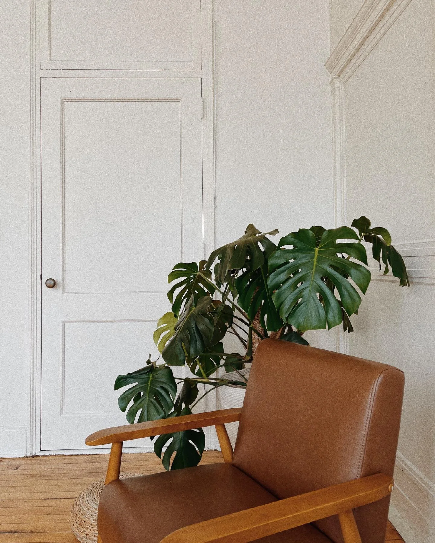 Gentle Bull Studio - gentle bull studio