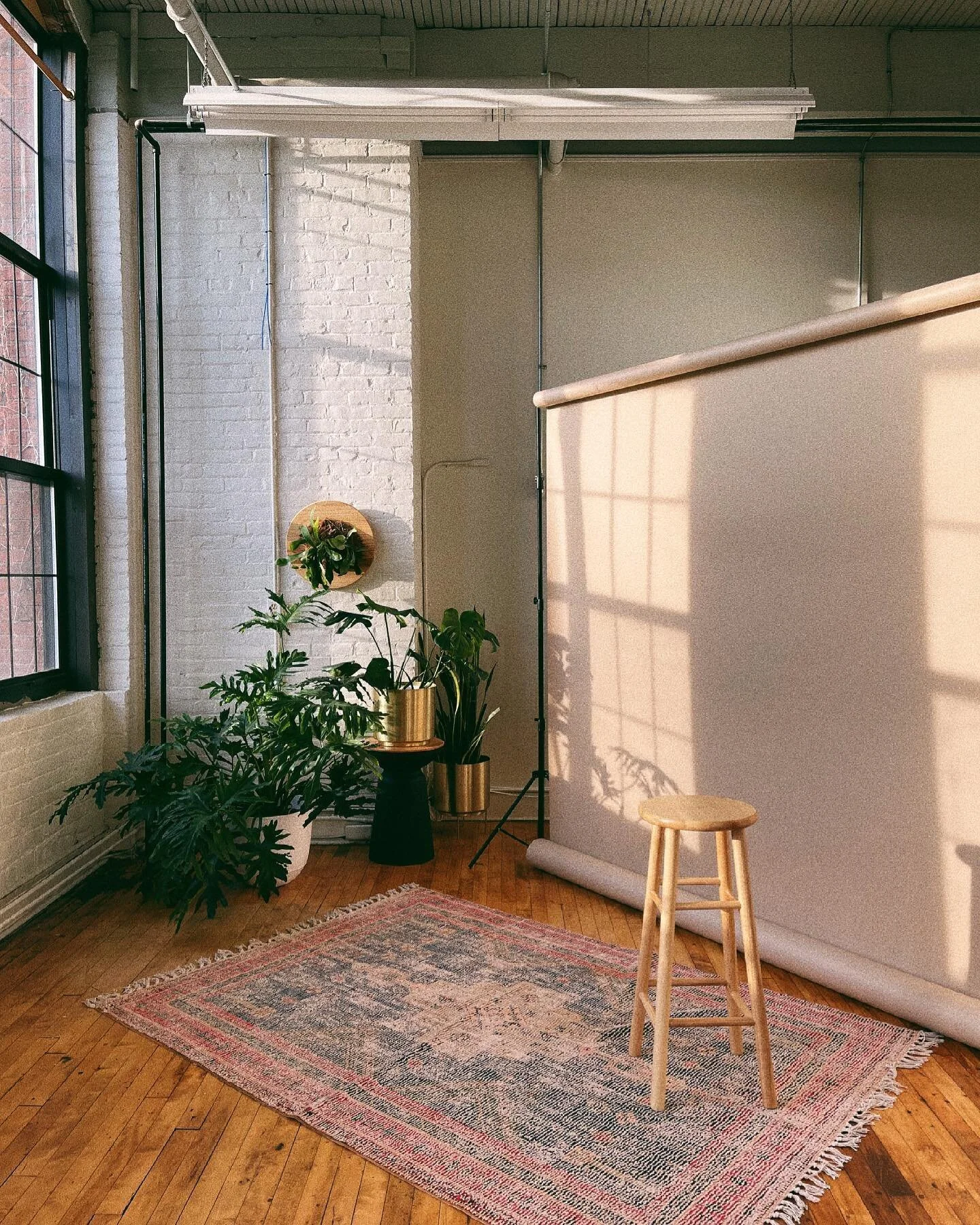 Gentle Bull Studio - gentle bull studio