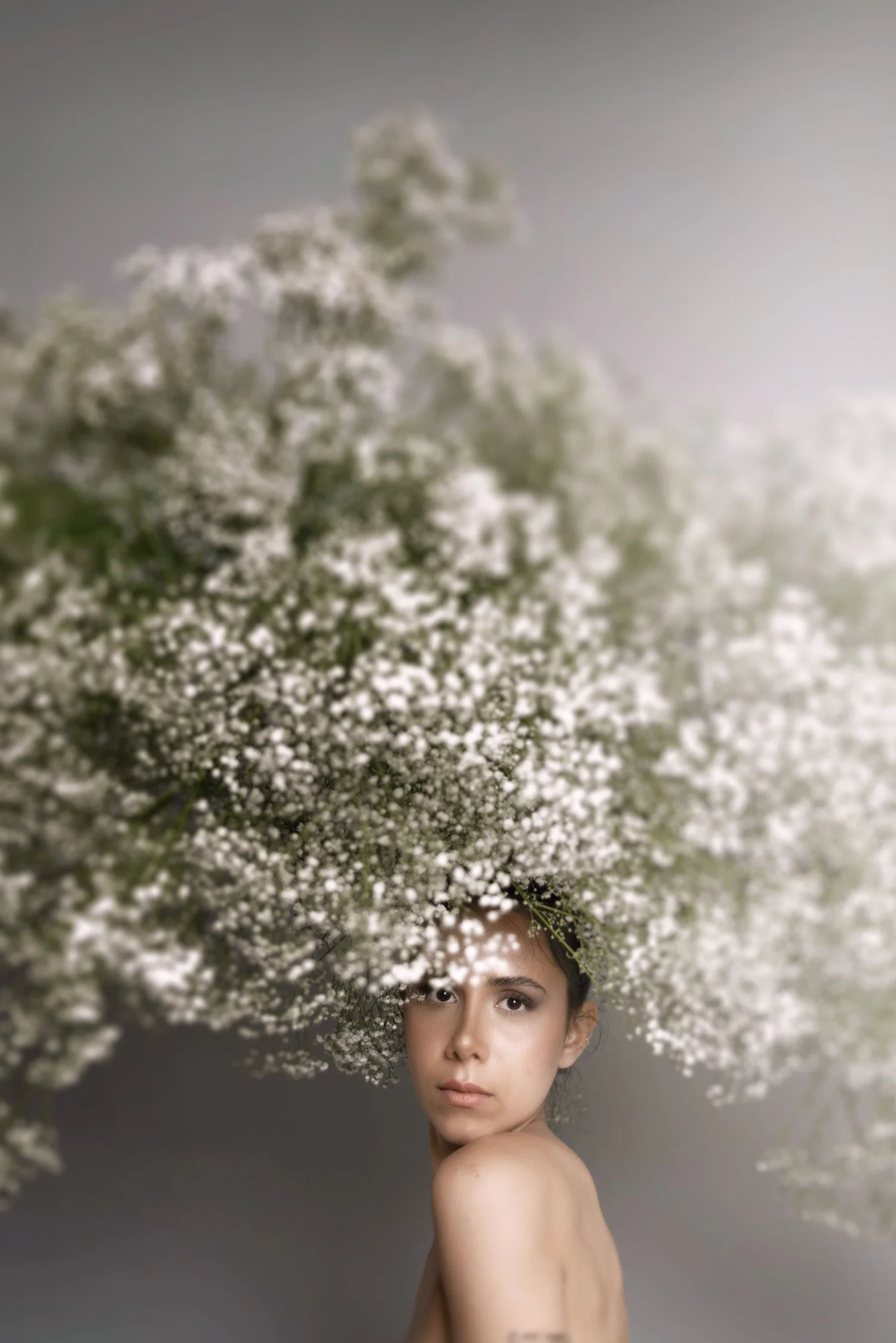 Studio M, Natural Flower Design a Roma