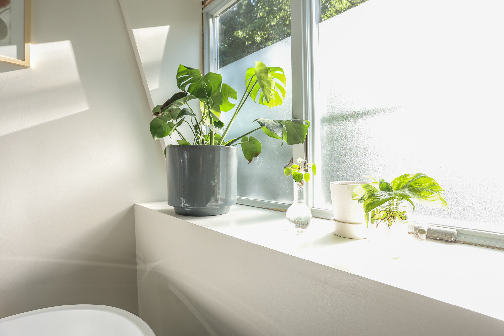 Easiest DIY - How to Frost Windows — Olive & June Home: Bold ...