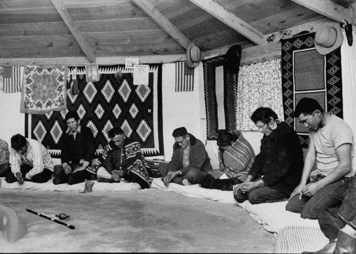 Mescaline: Harm Reduction — The Psychedelic Society