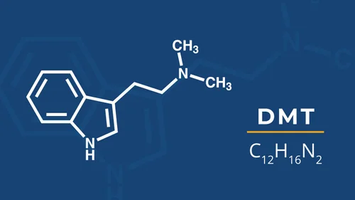 DMT Research: Could the ‘Spirit Molecule’ help treat alcohol addiction ...