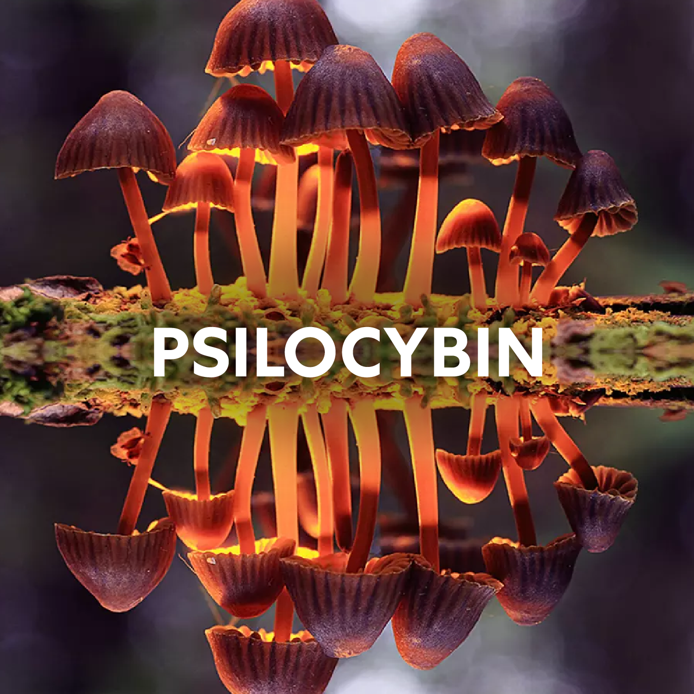 Psychedelic Substance Risks and Harm Reduction — The Psychedelic Society