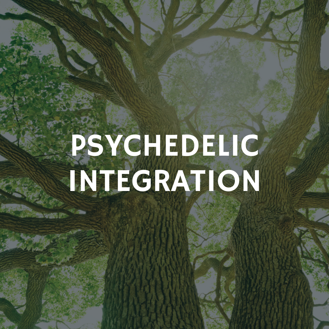 Psychedelic Substance Risks and Harm Reduction — The Psychedelic Society